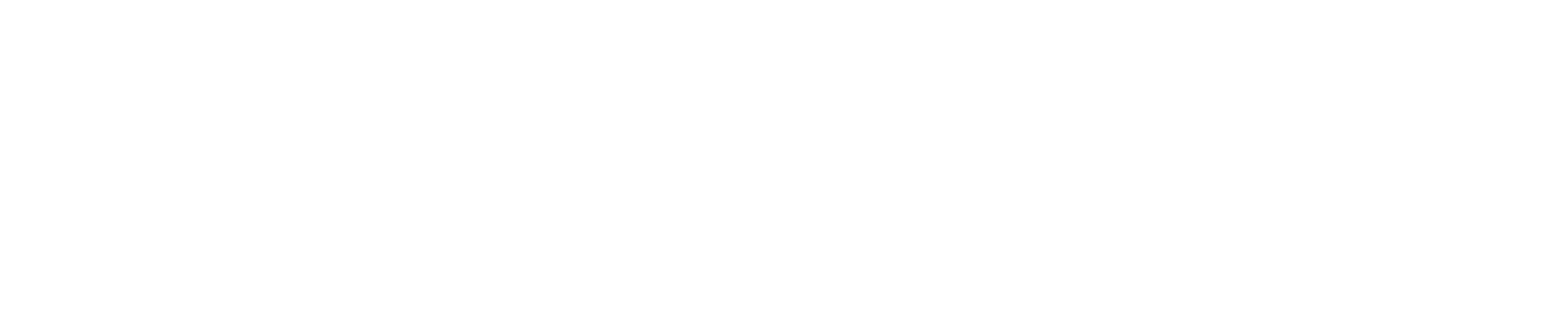 LSD met ANNA maar zonder OMA - TeamTelefoon